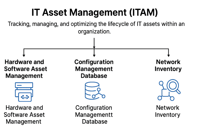 Healthcare Asset Management: How Does It Work? | Alloy Software